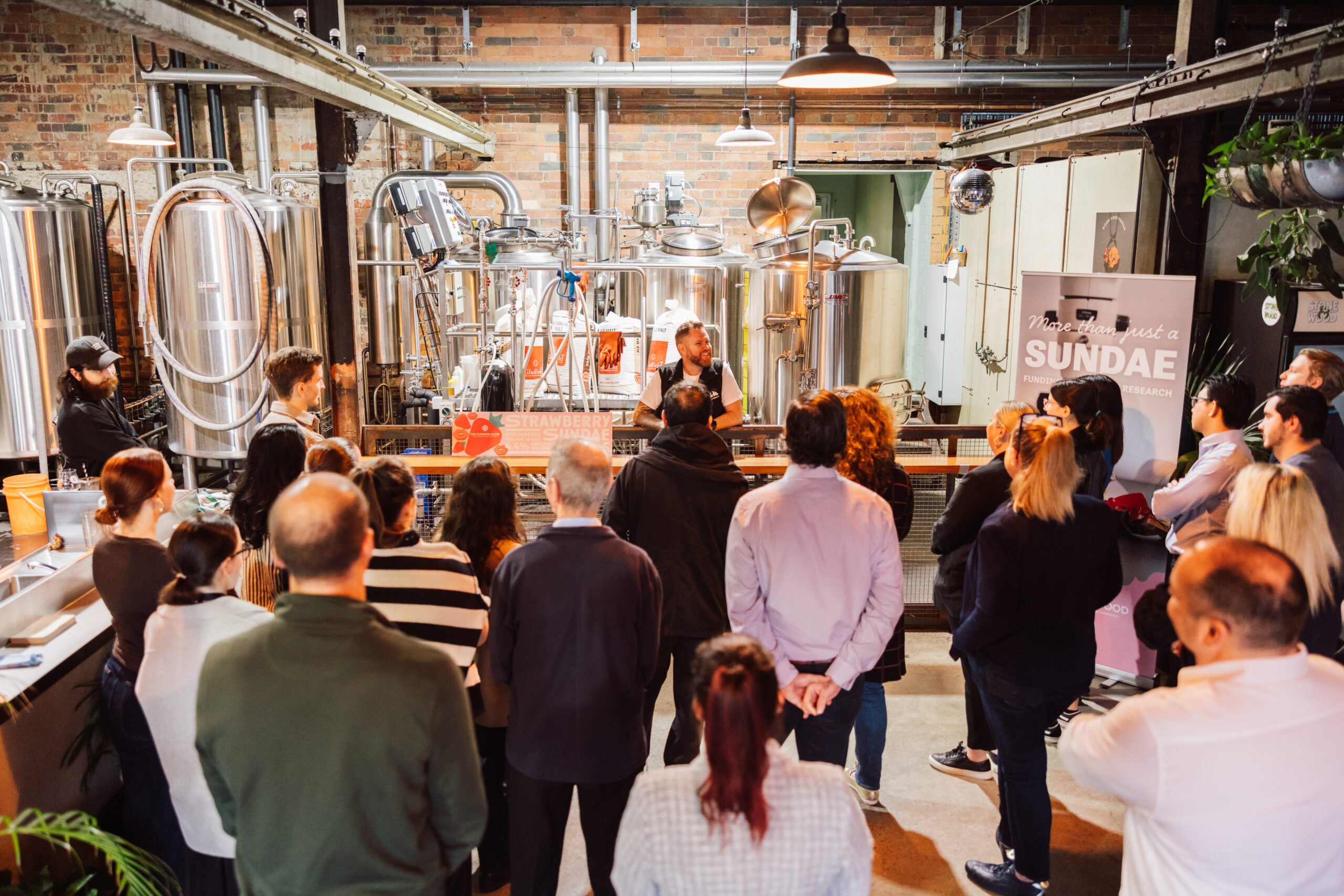 Brewing begins for Stone & Wood’s Strawberry Sundae Kisses beer - The ...